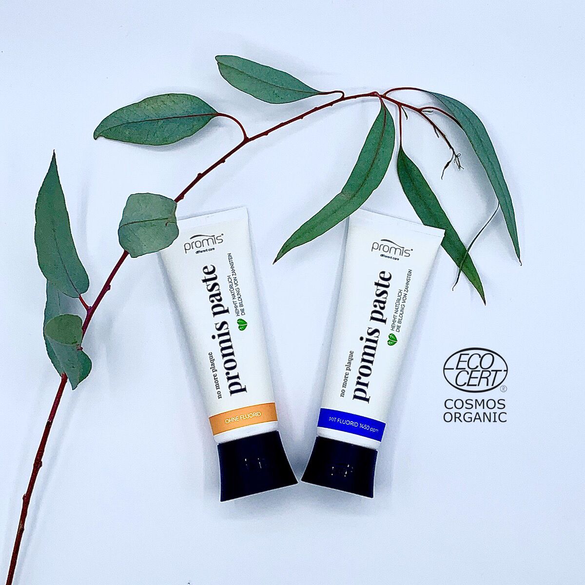 Discover Natural Oral Hygiene with SLS-Free Toothpastes – promis ...